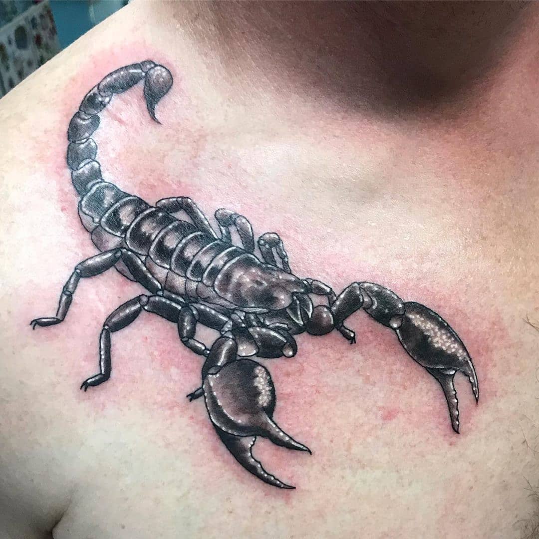 45+ Scorpion Tattoo Designs – Ink Needle Art